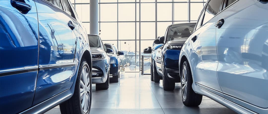 Encontrar Lojas | Salocar Multimarcas